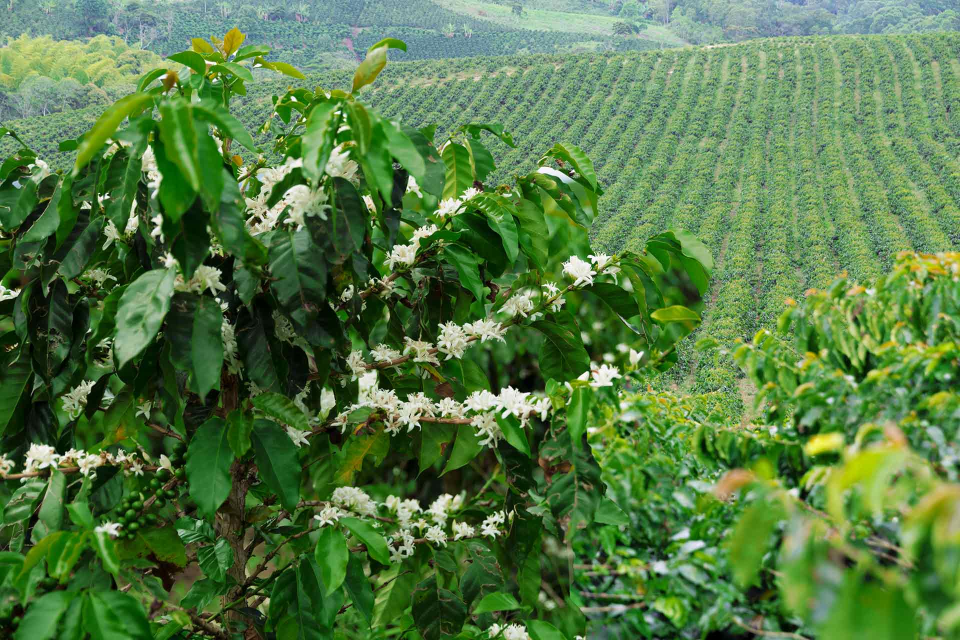 Joy | Beauty | Ageless – The joy of self-care