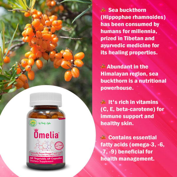 Omelia Capsules – JBA
